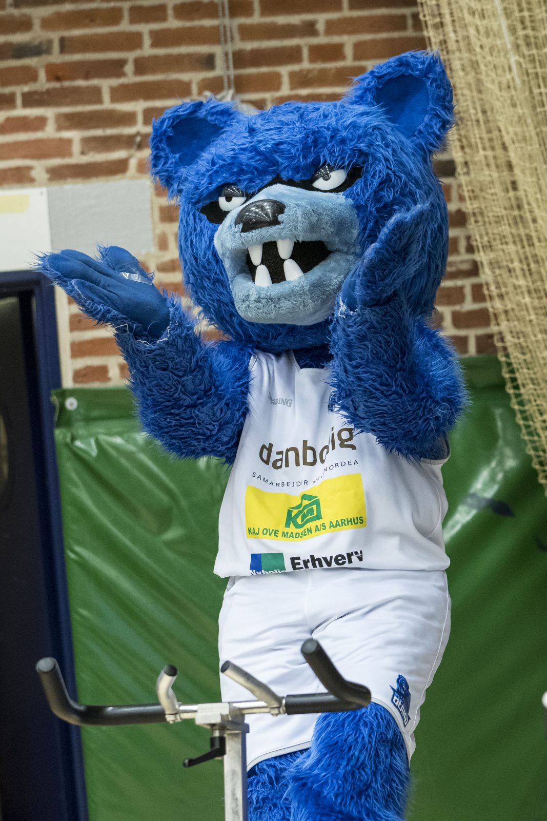 UNDERHOLDNING | Basketball | Bakken Bears Officielle Website