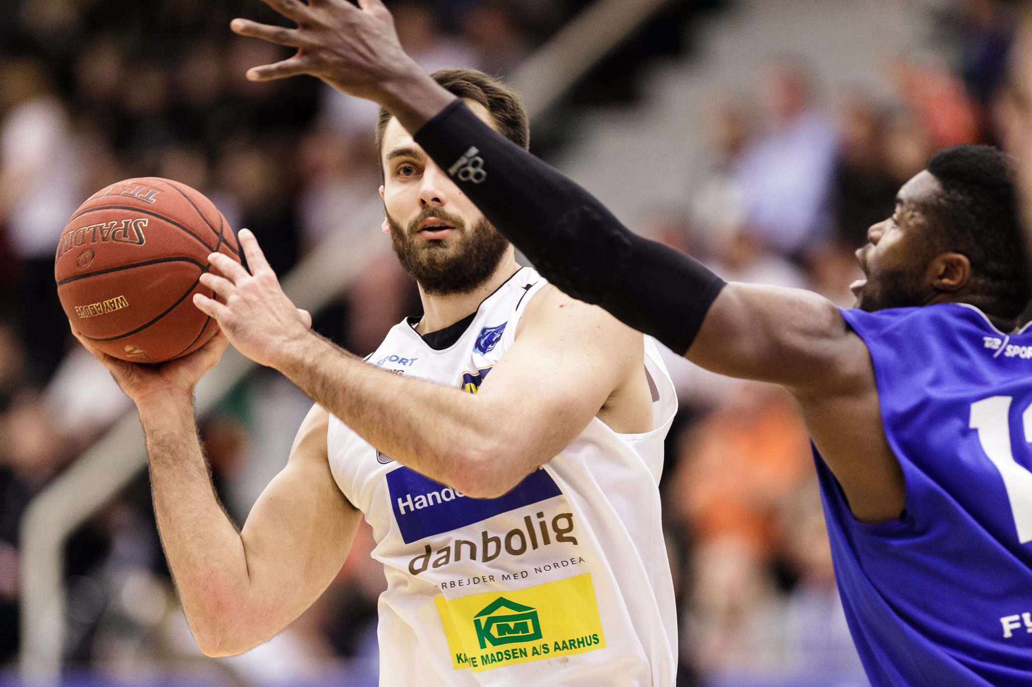 Gensyn med Bears-profil i Estland, i kamp mellem de ubesejrede